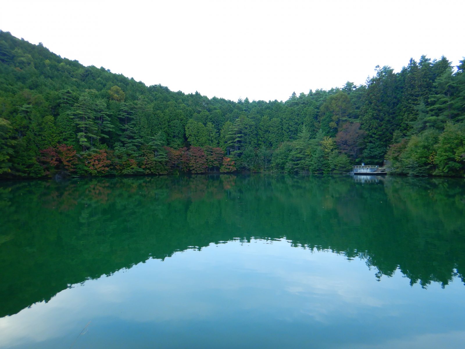 【南伊奈ヶ湖紅葉状況】10/22(土)の様子 – エコパ伊奈ヶ湖