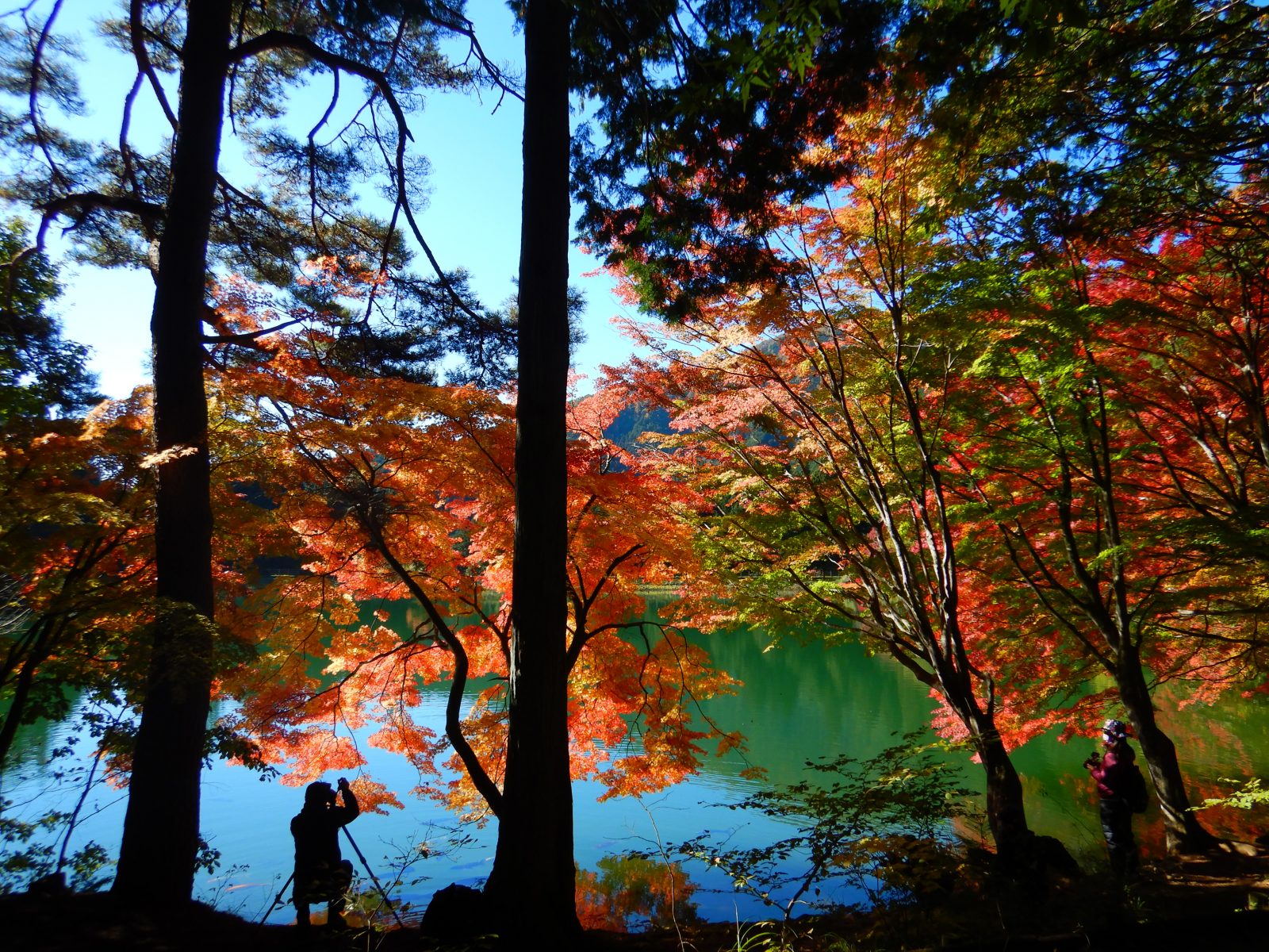 雲海が見れました！【南伊奈ヶ湖紅葉状況】11/2(水)の様子 – エコパ伊奈ヶ湖