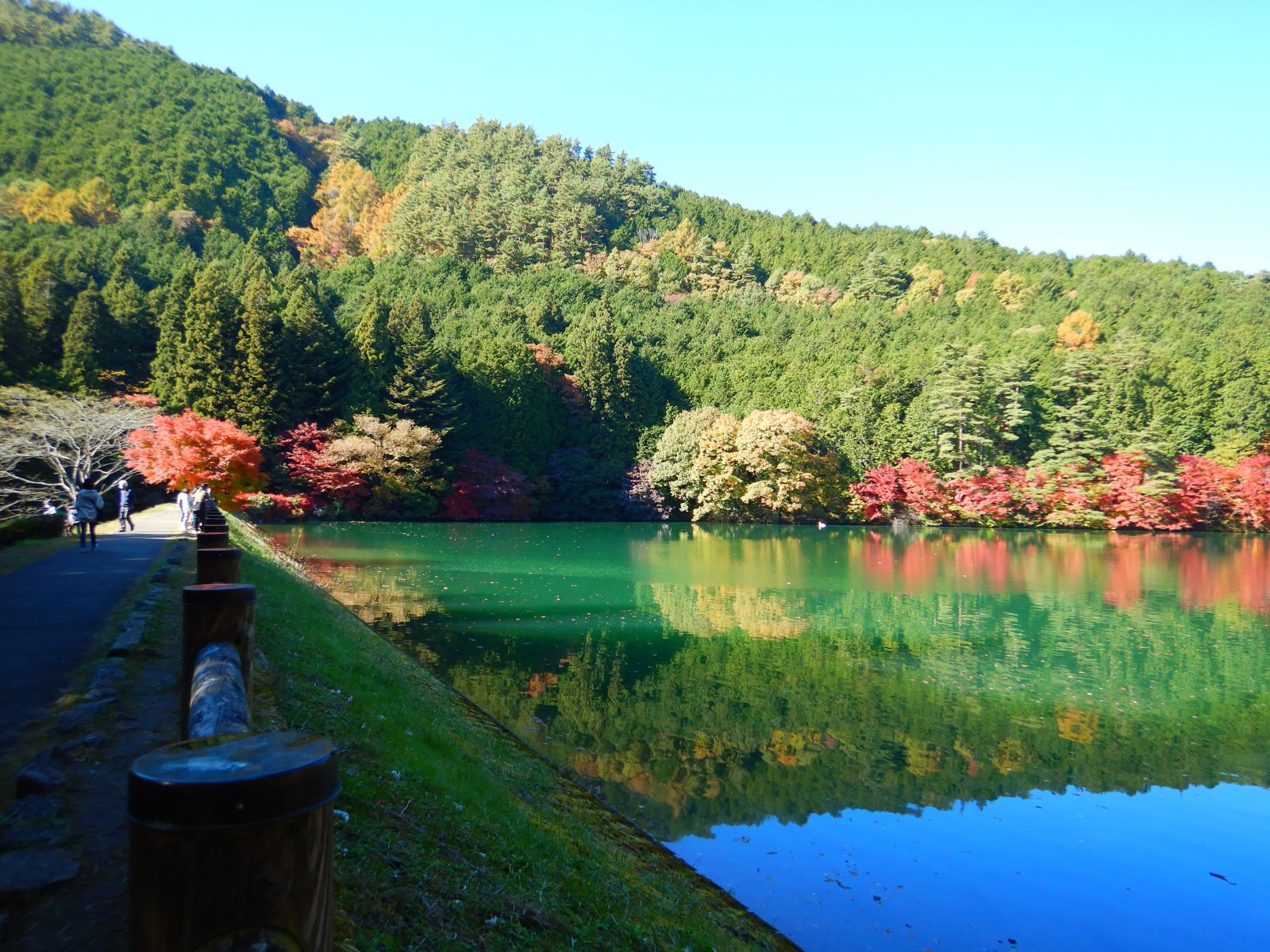 【南伊奈ヶ湖紅葉状況】11/6（土）の様子 – エコパ伊奈ヶ湖