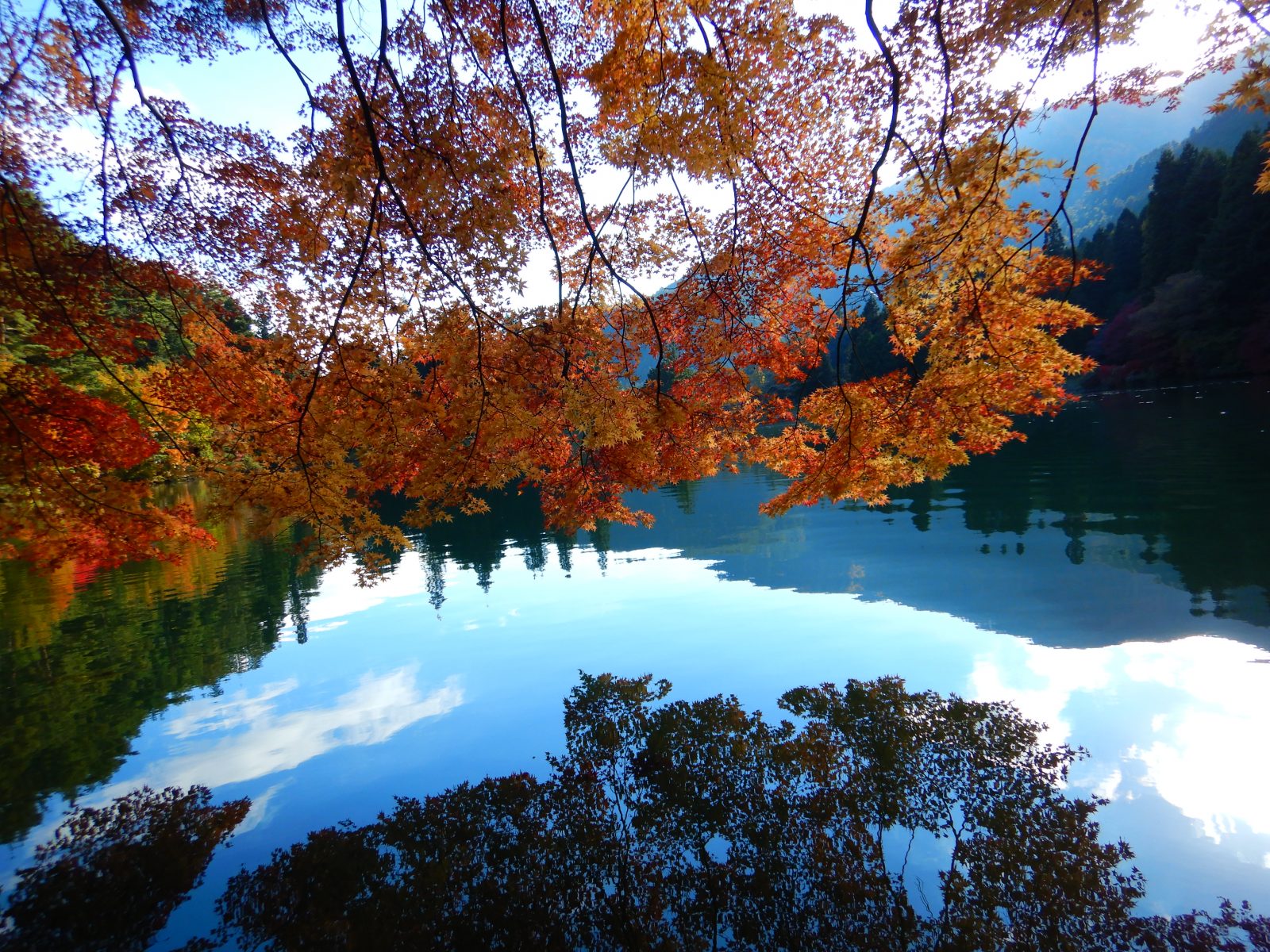 【南伊奈ヶ湖紅葉状況】11/7（月）の様子 – エコパ伊奈ヶ湖