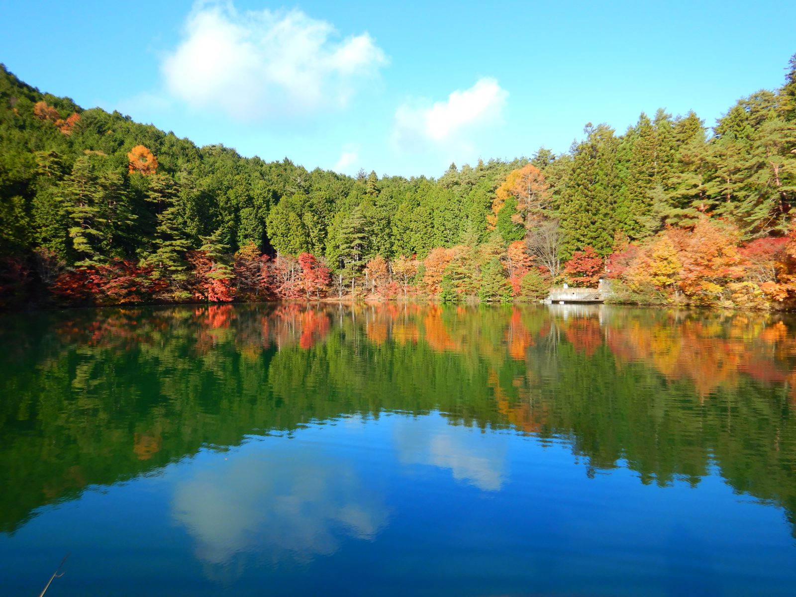 【南伊奈ヶ湖紅葉状況】11/15（火）の様子 – エコパ伊奈ヶ湖
