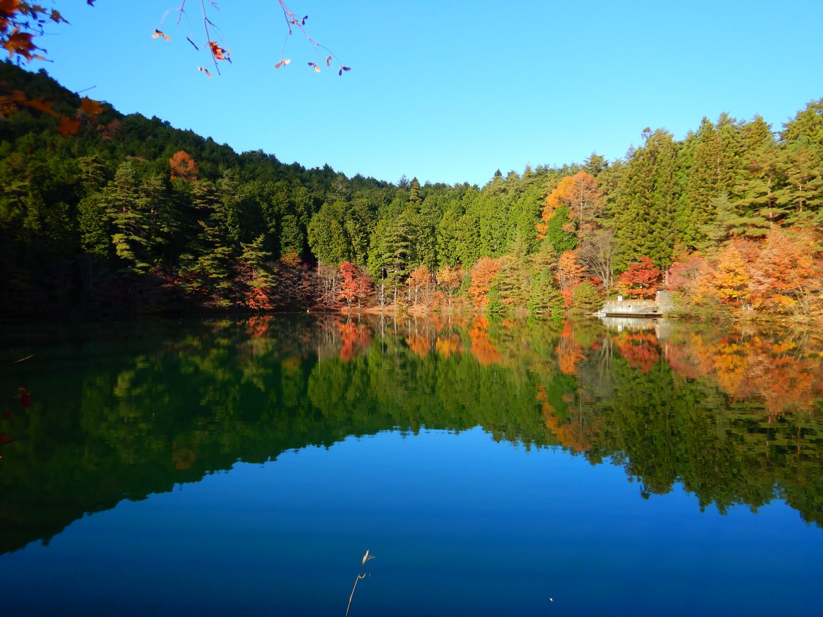【南伊奈ヶ湖紅葉状況】11/18（金）の様子 – エコパ伊奈ヶ湖