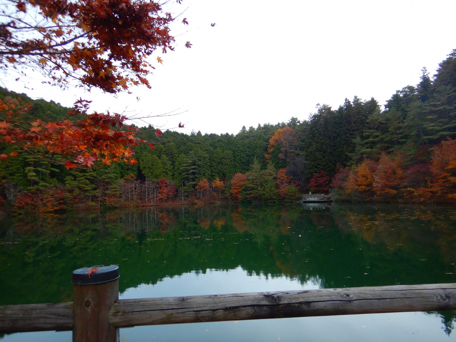 【南伊奈ヶ湖紅葉状況】11/20（日）の様子 – エコパ伊奈ヶ湖