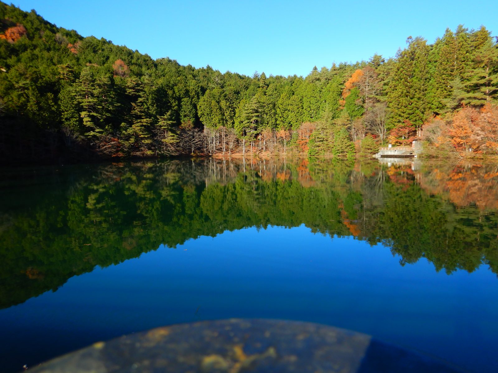 【南伊奈ヶ湖紅葉状況】11/25（金）の様子 – エコパ伊奈ヶ湖