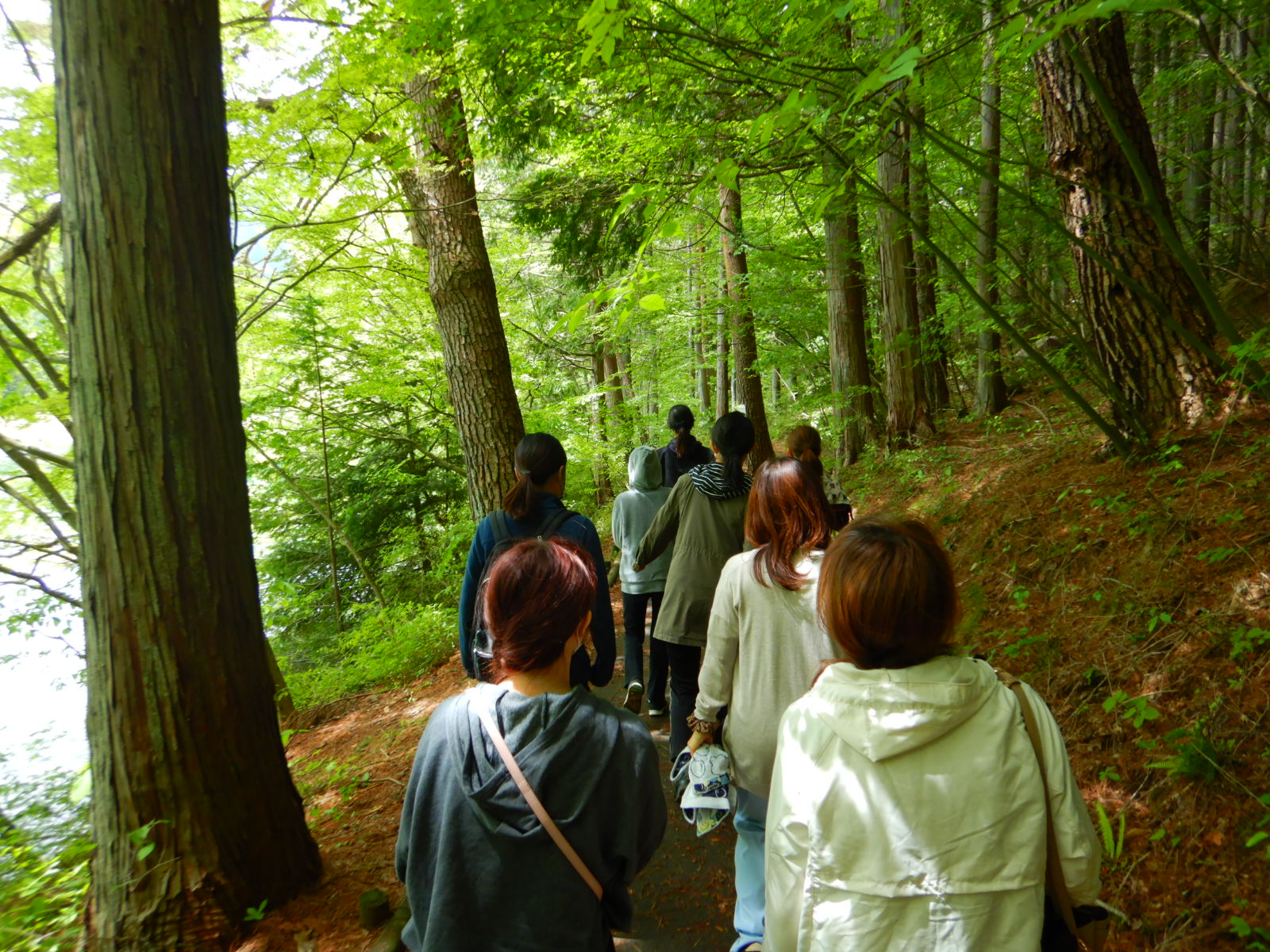 5/14（日）自然教室「エコパの森でキクササイズ＆ヘルシーランチ」を実施しました！ – エコパ伊奈ヶ湖