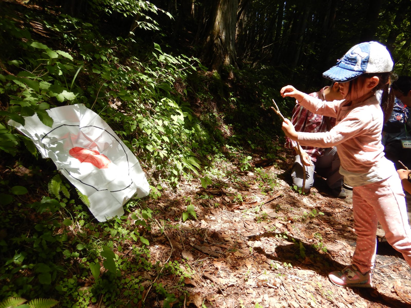 6月4日（日）自然教室「季節の観察会」を開催しました！ – エコパ伊奈ヶ湖
