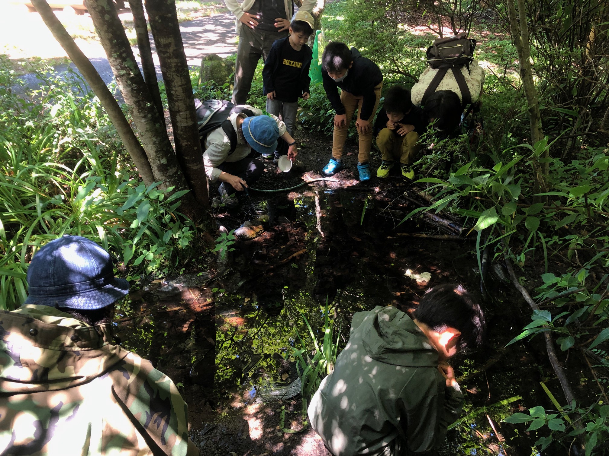 7月2日（日）自然教室「季節の観察会」を開催しました！ – エコパ伊奈ヶ湖