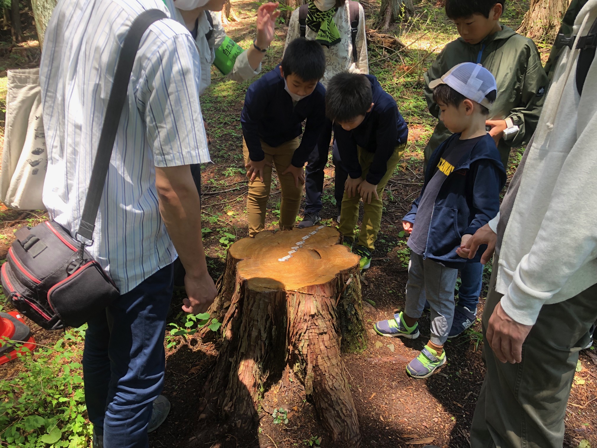 7月2日（日）自然教室「季節の観察会」を開催しました！ – エコパ伊奈ヶ湖