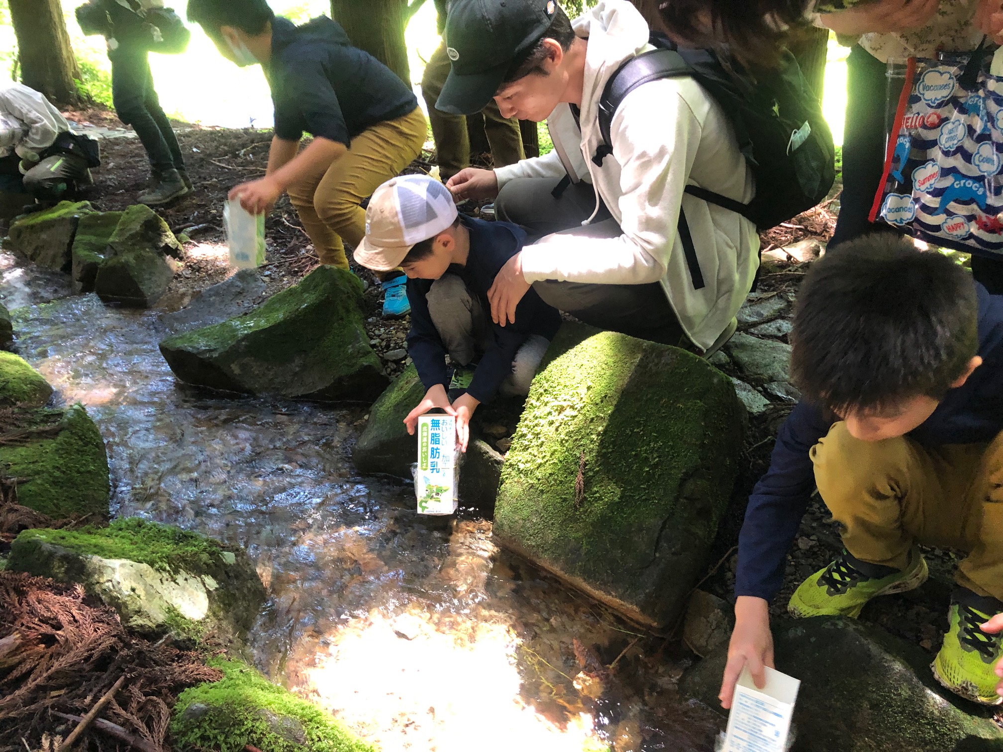 7月2日（日）自然教室「季節の観察会」を開催しました！ – エコパ伊奈ヶ湖