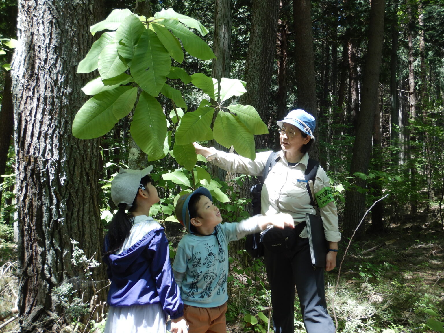 ☆季節の自然観察会☆ 2025年5月4日（日）開催 ☆【申込期間：3/30(日)～4/27(日)】 – エコパ伊奈ヶ湖