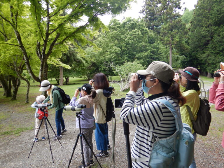 ☆初夏の野鳥観察会☆ 2025年5月18日（日）開催 ☆【申込期間：4/20(日)～5/11(日)】 – エコパ伊奈ヶ湖