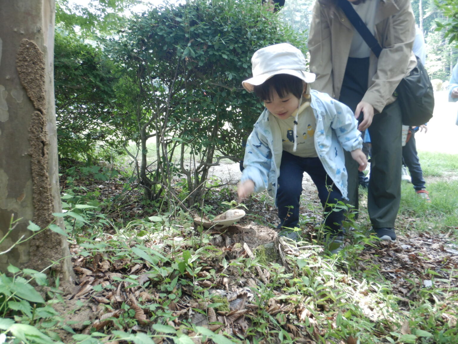 8月31日に自然教室「森のテラリウムづくり～キノコの森をつくろう～」を開催しました！ – エコパ伊奈ヶ湖